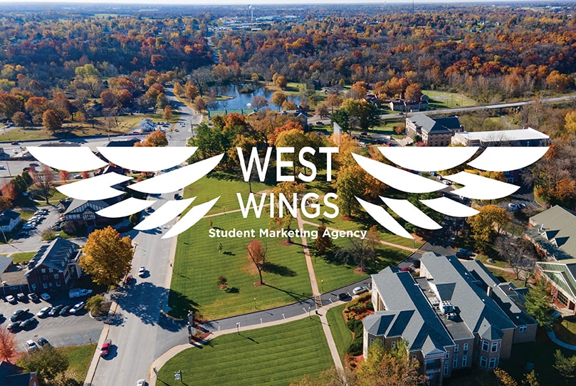Working Human Wings